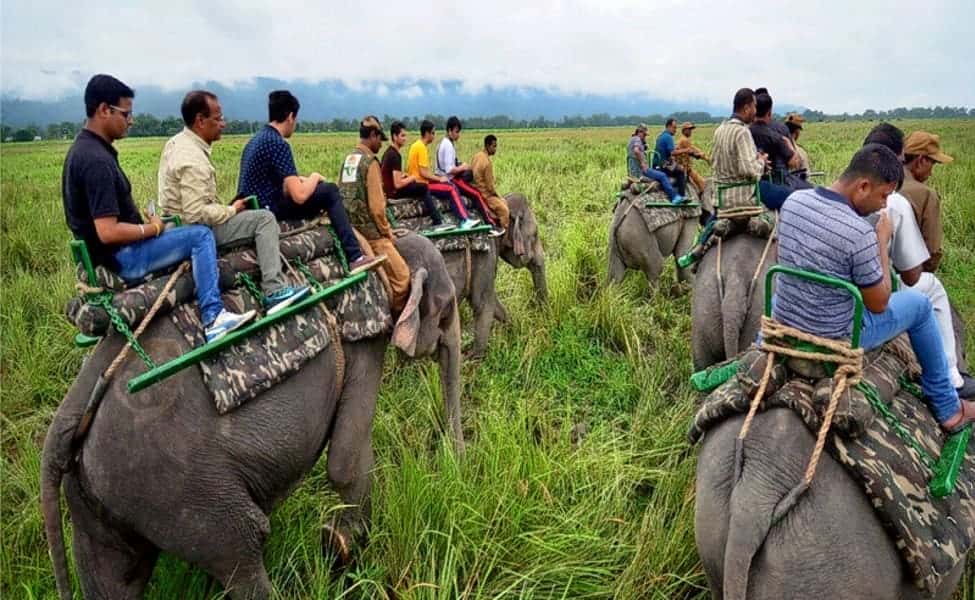 Wildlife Safari Resort in Kaziranga – Royale de Casa